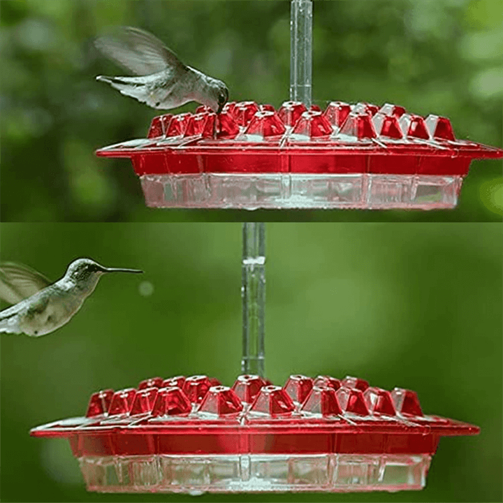 Hummingbird Feeders for Outdoors Hanging – Fnkstore